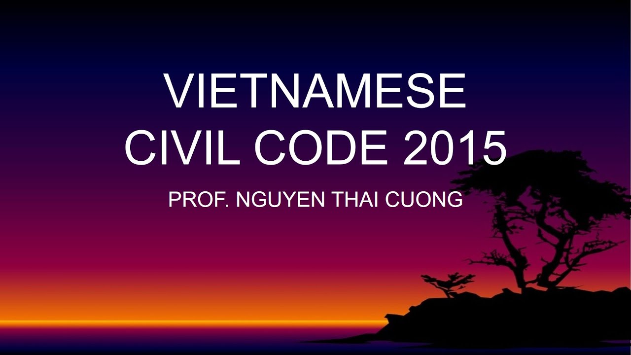 Understanding Vietnamese Civil Code 2015 _ Prof Nguyen Thai Cuong - YouTube