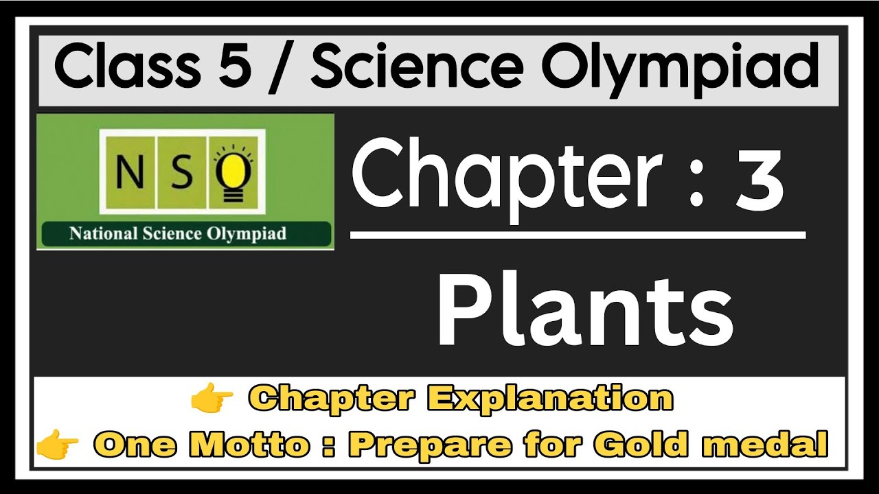 Class 5 Science Olympiad Chapter: Plants | Full Chapter Explained | NSO ...