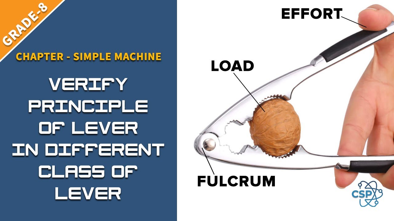 To Verify the Principle of Lever in Different Classes of Lever | BLE ...