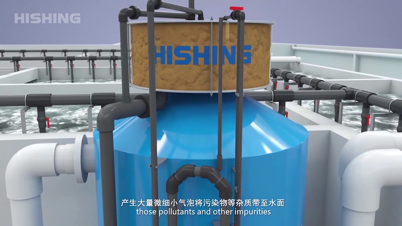 Land-based Recirculating Aquaculture System (RAS) Process Flow Video ...