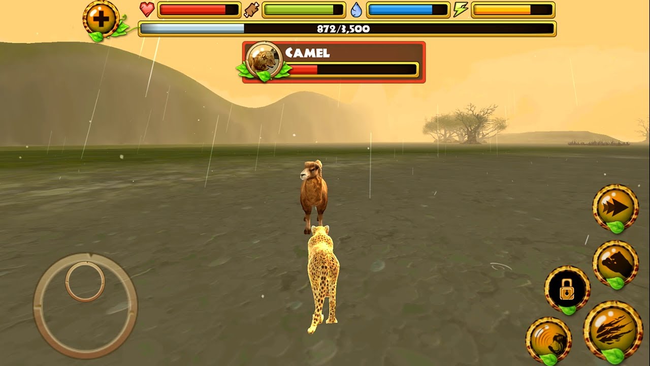 Cheetah Simulator (By Gluten Free Games LLC) Android Gameplay - YouTube