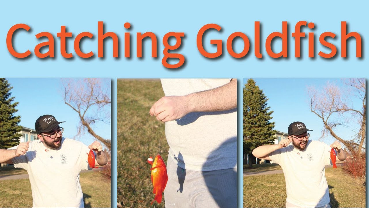 Catching Goldfish: The Lost Footage - YouTube