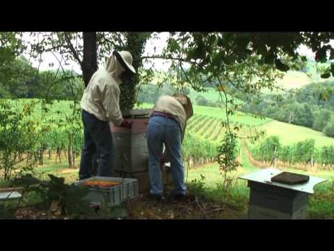 Biodiversité
