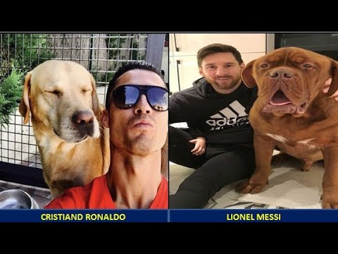 Famous Footballers And Their Dogs / Pets - YouTube