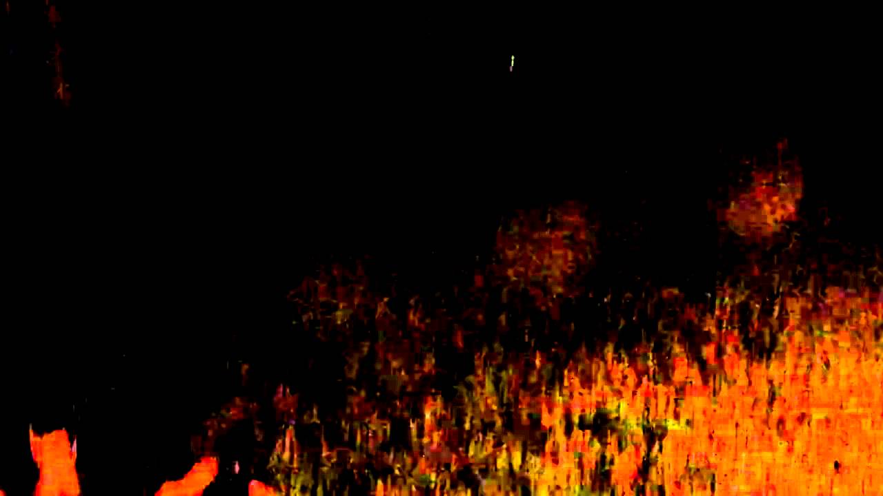 jack russel back flip! - YouTube