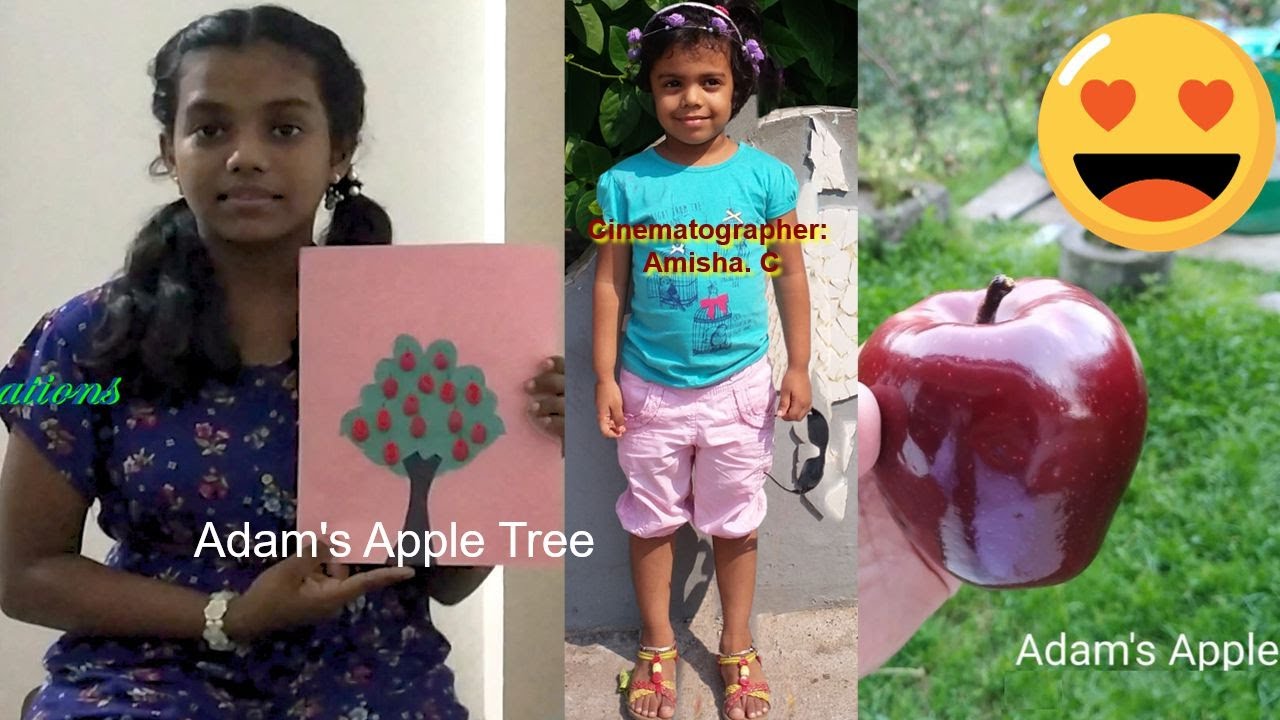Adam’s Apple Tree ஆதாமின் ஆப்பிள் மரம் - YouTube