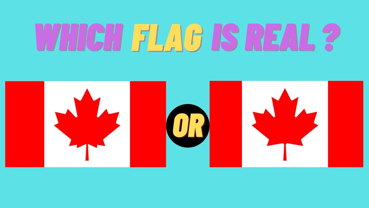 Which Flag Is Real? | Flag Quiz Challenge - YouTube