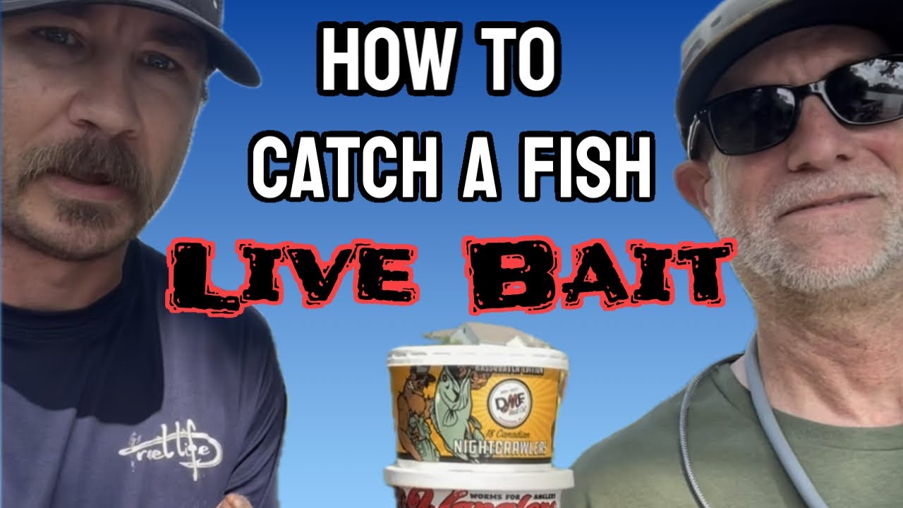 How to CATCH a FISH (back to basics) - YouTube