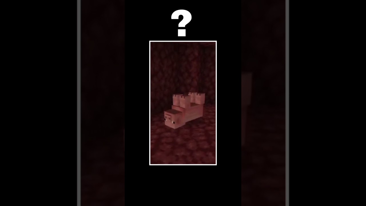 PORCO INVERTIDO NO NETHER? #SHORTS - YouTube