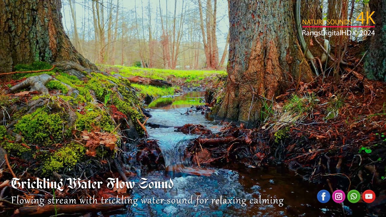 Trickling Water Flow Sound for Relaxing Studying and Sleeping Calming ...