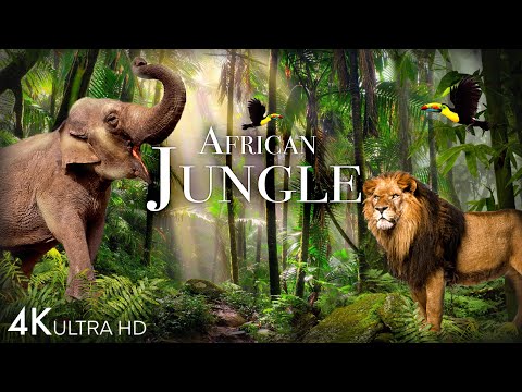 African Jungle 4K - The World's Second-Largest Tropical Rainforest | Scenic Relaxation Film