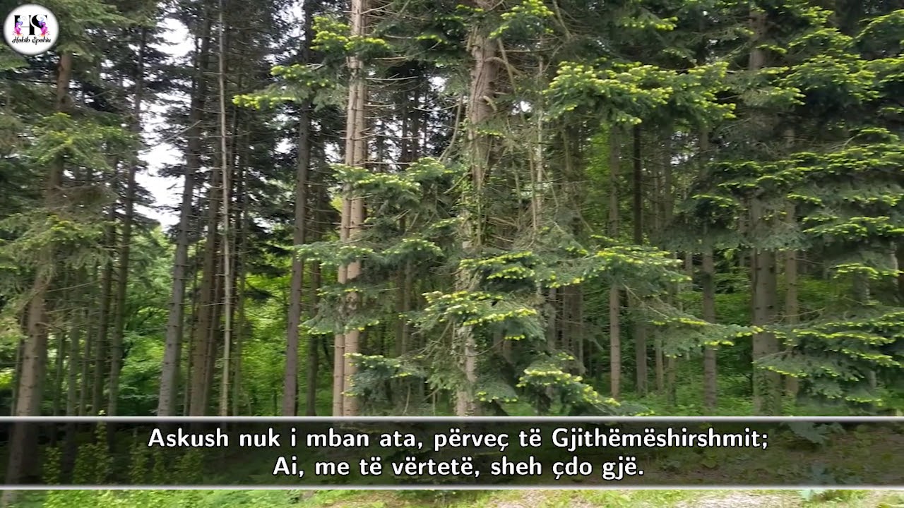 SURJA EL MULK - YouTube