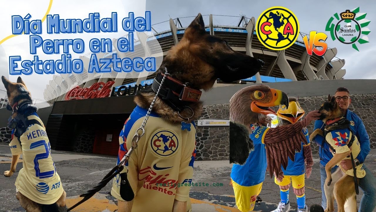 América Vs Santos | Día Mundial del Perro | Randy conoció el Estadio ...