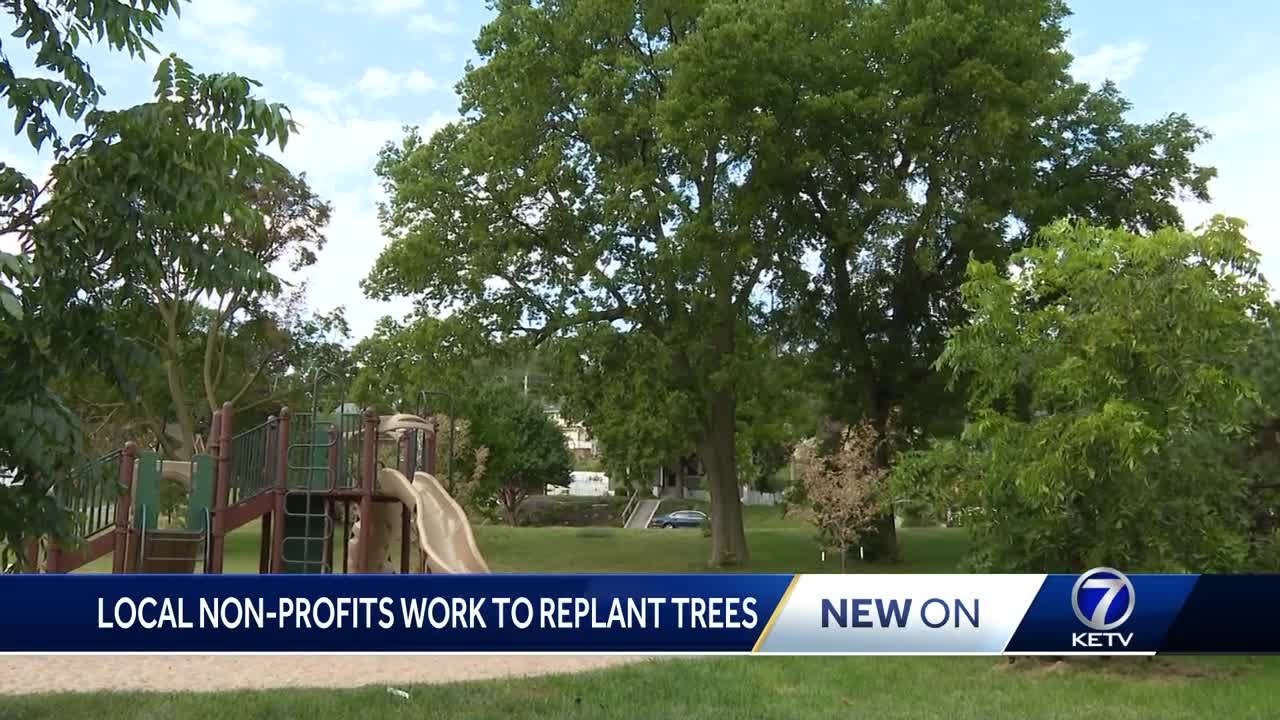 Keep Omaha Beautiful launches new Trees for Tomorrow program - YouTube