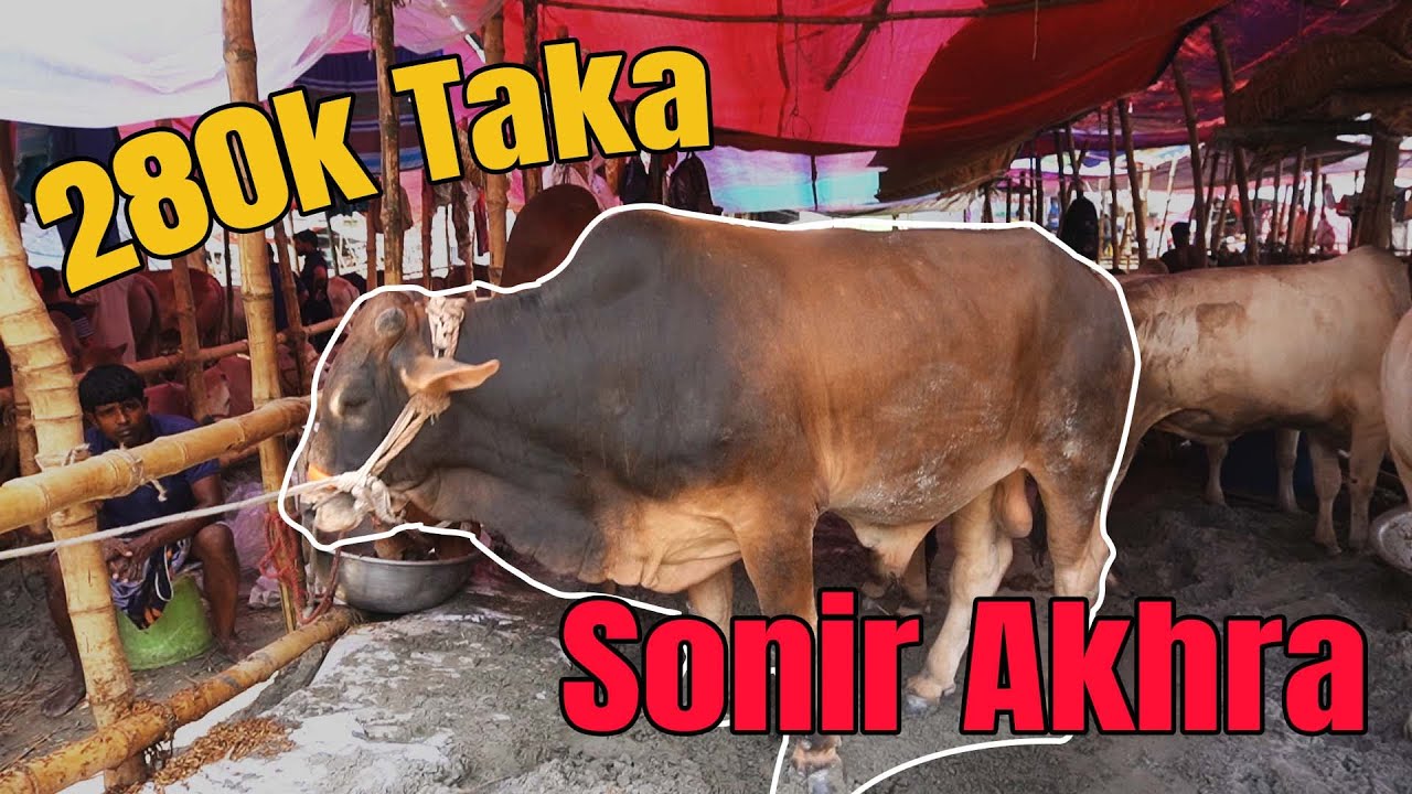 Sonir Akhra Gorur Hat 2023 | FG Faysal Islam - YouTube