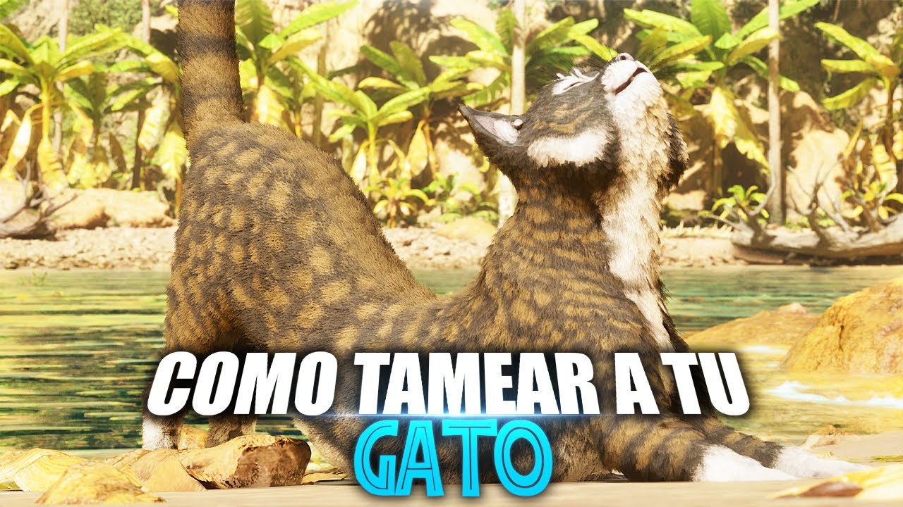 COMO TAMEAR A TU GATO | Guia Español | Ark: Survival Ascended - YouTube