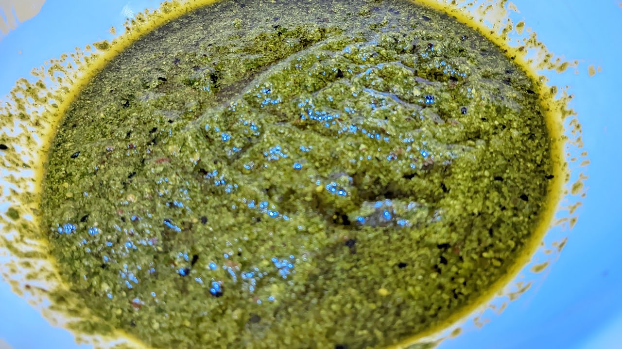Delicious Lau Pata Bata Recipe | Tasty Gourd Leaf Recipe | Indian ...