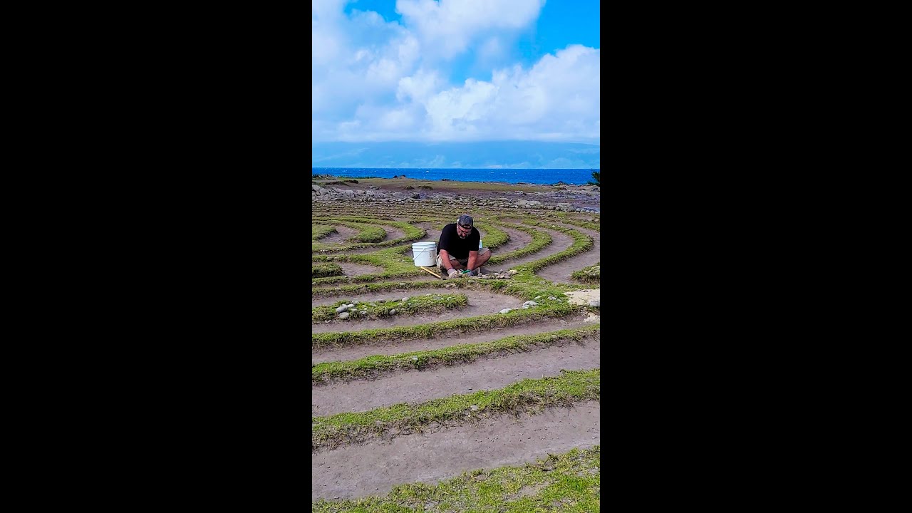 Repairing the Labyrinth in Kapalua Maui Hawaii - YouTube