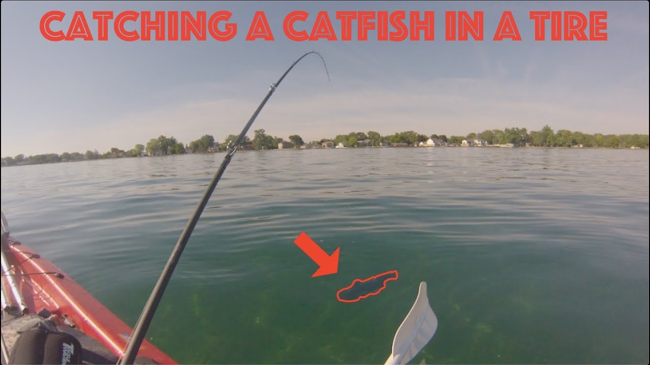 Catching a Catfish in a Tire - YouTube