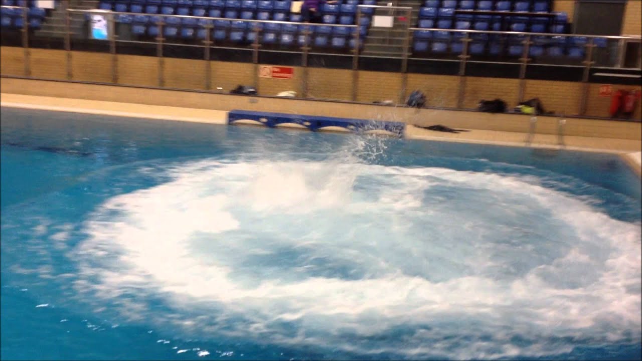 Rob Hladik - stunt high diving 10m - YouTube