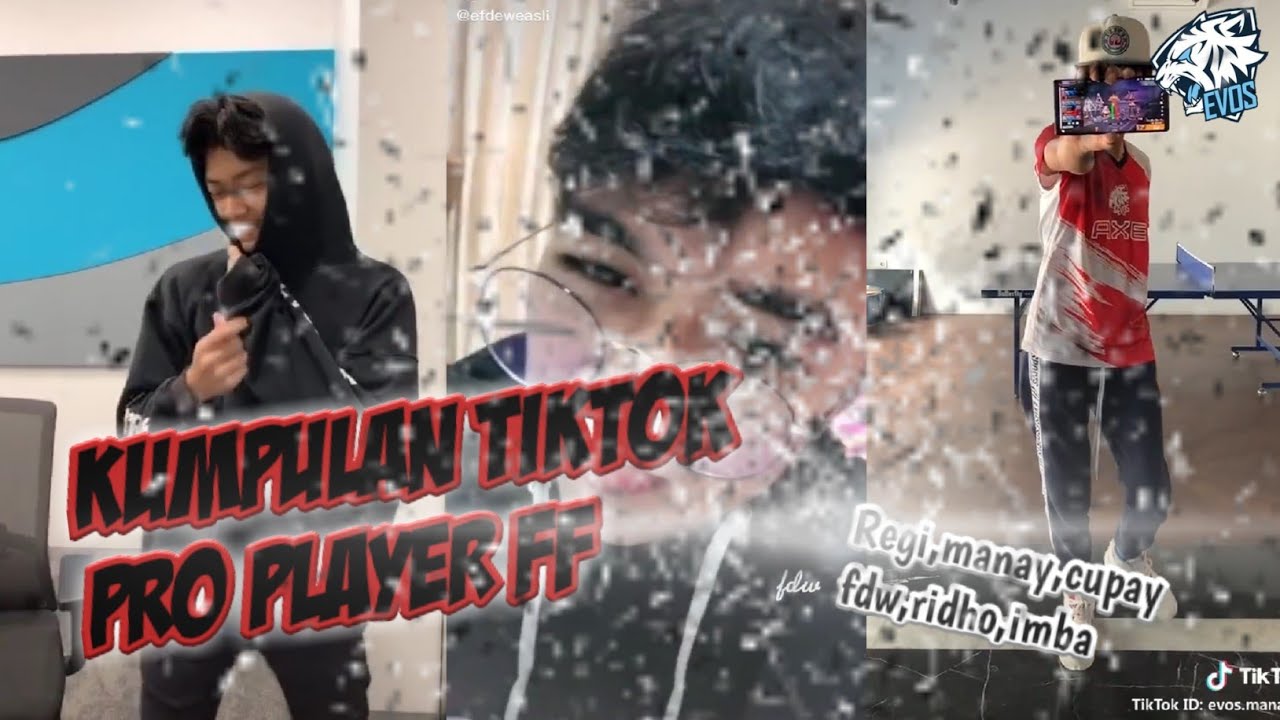 TIKTOK PRO PLAYER FF||MR05,MANAY,CUPAY,IMBA,FDW-FREE FIRE X TIKTOK ...