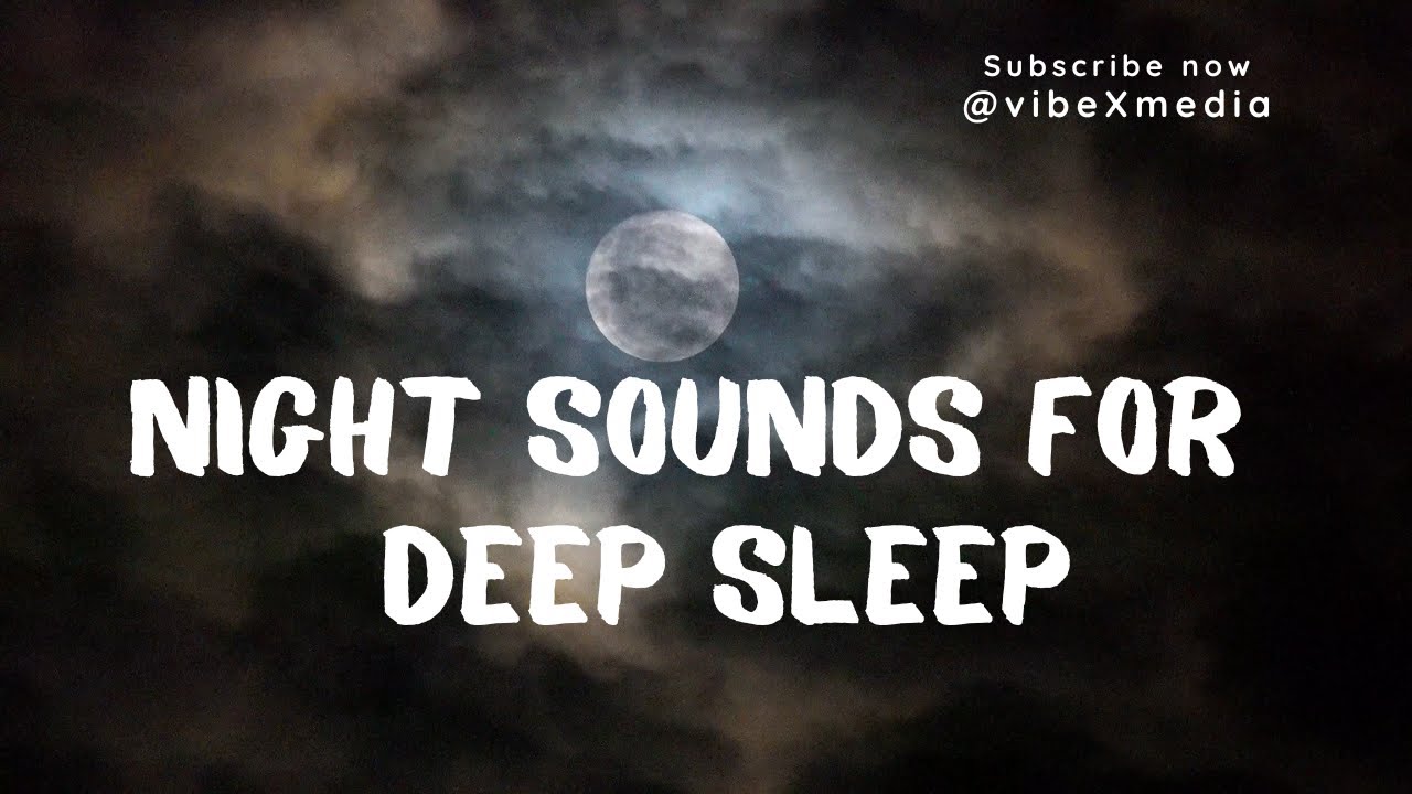 Nighttime Bliss: Best Night Sounds for Deep Sleep | Outdoor Relaxation ...