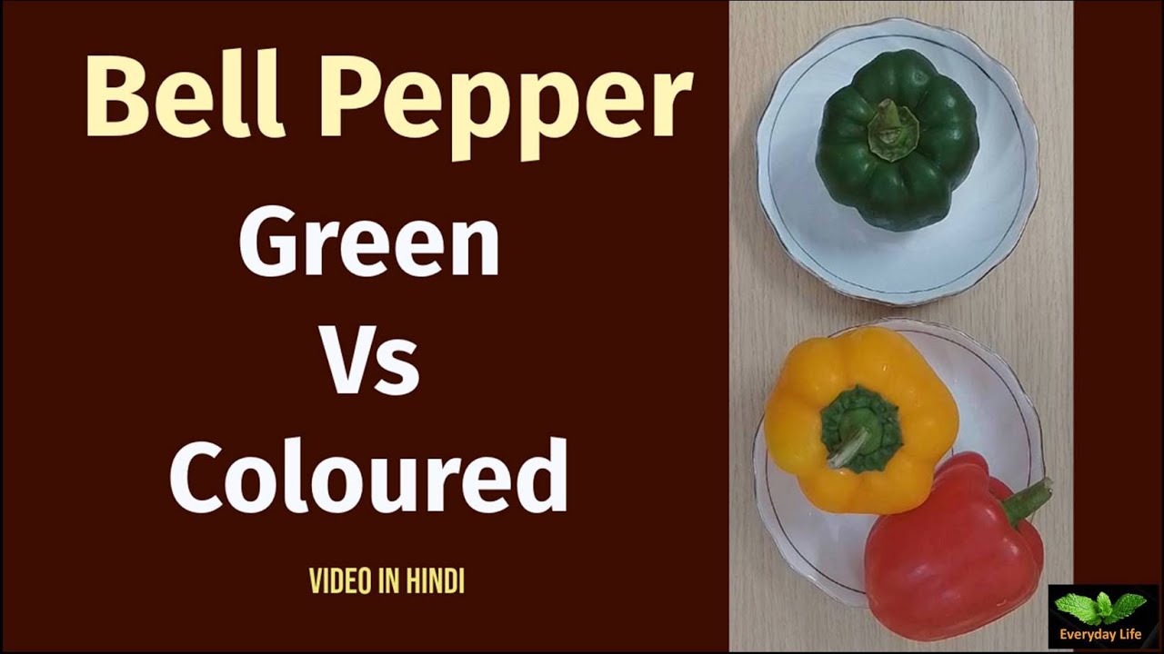 Bell Pepper | Green Vs Coloured | Capsicum | शिमला मिर्च |Shimla Mirch ...