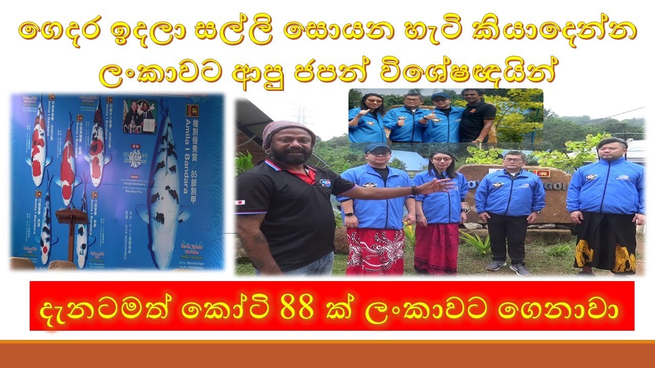 oya nishikigol dambulla ගෙදර ඉදලා සල්ලි සොයන හැටි කියාදෙන්න ලංකාවට ආපු ...