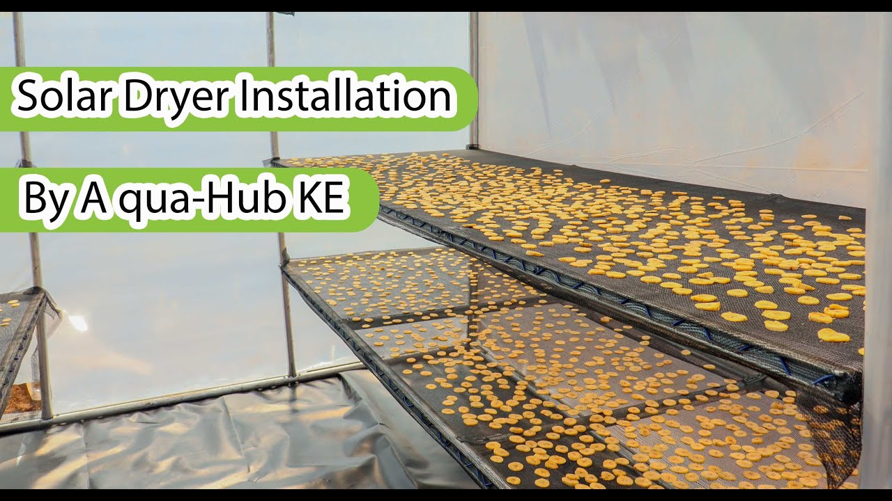 How to Dry Food for FREE Using the Sun! DIY Solar Dryer That Saves ...