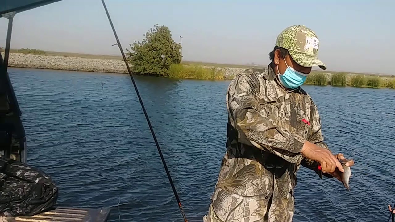 Whiskey Slough fishing for catfish #2 10/22/20 - YouTube