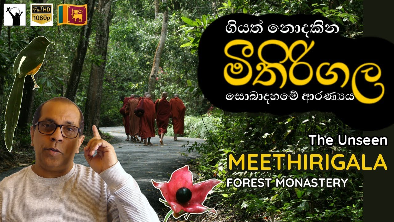මීතිරිගල ආරණ්‍යය | පුදුම සොබාදහමට ළං වී බලමු | Unseen Meethirigala ...