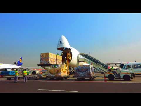 Cargo Operations - YouTube