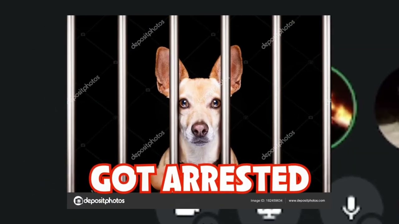 pack god roasting veshremy clone - YouTube