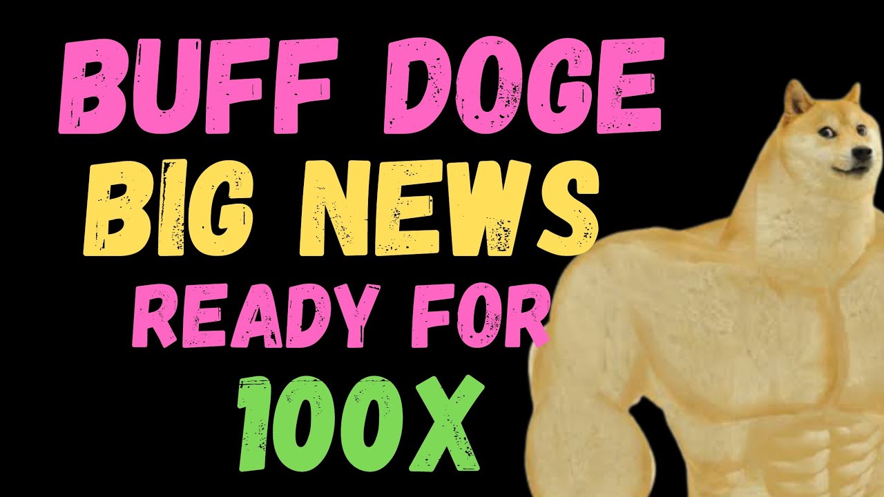 BUFF DOGE COIN | BUFF DOGE COIN NEWS | BUFF DOGE UPDATES - YouTube