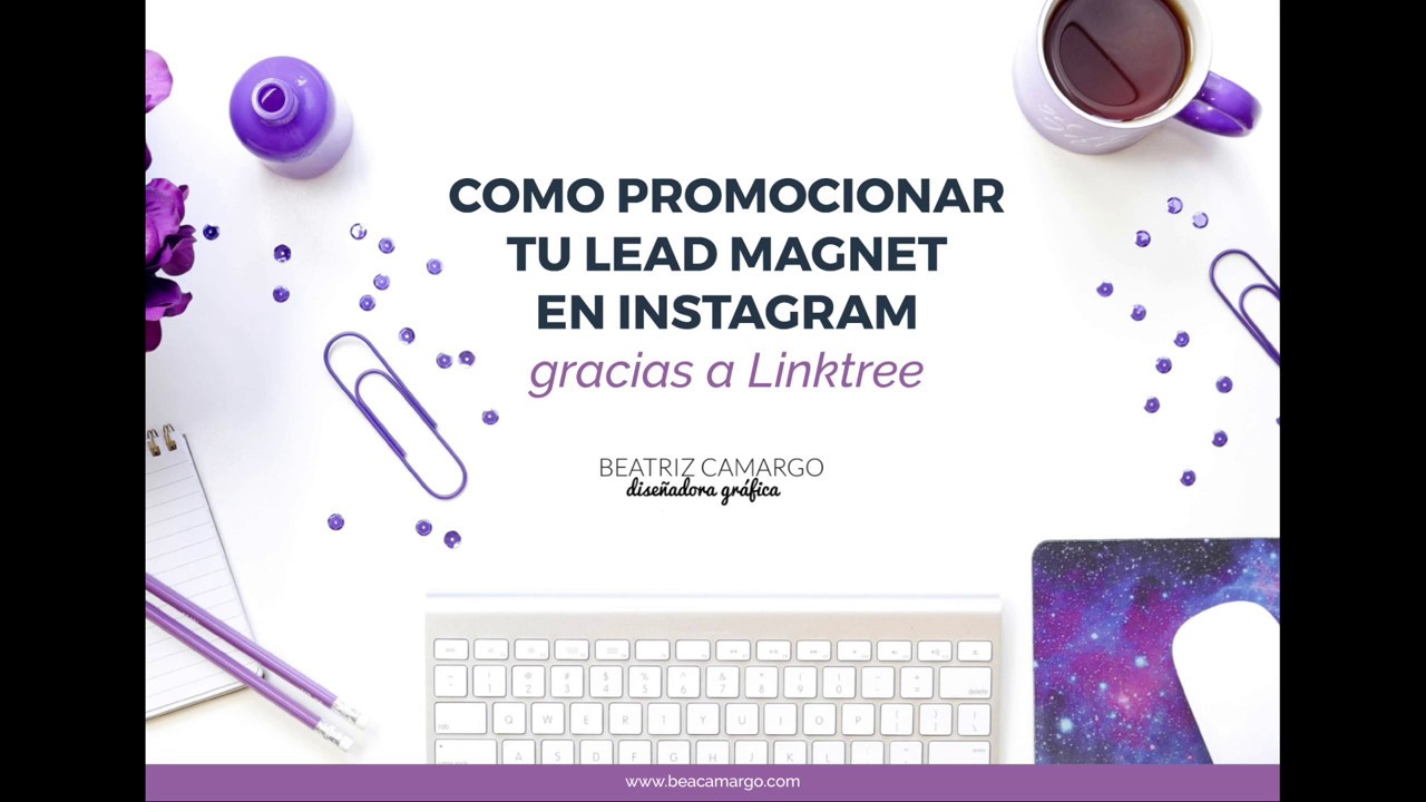 Cómo promocionar tu Lead Magnet en Instagram gracias Linktree - YouTube