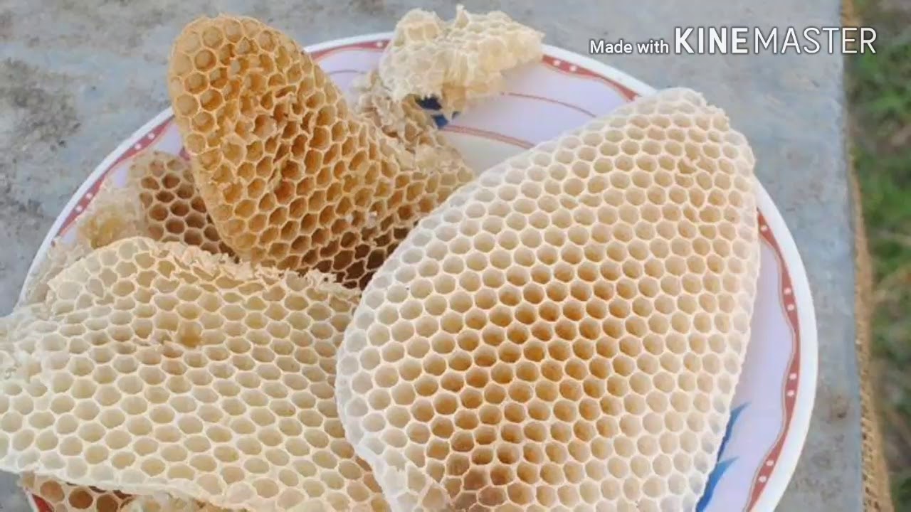 moti modhu moumachi chash prokolpo - YouTube