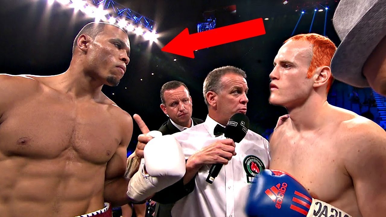 A Boxer That Answers To Absolutely No One! - YouTube