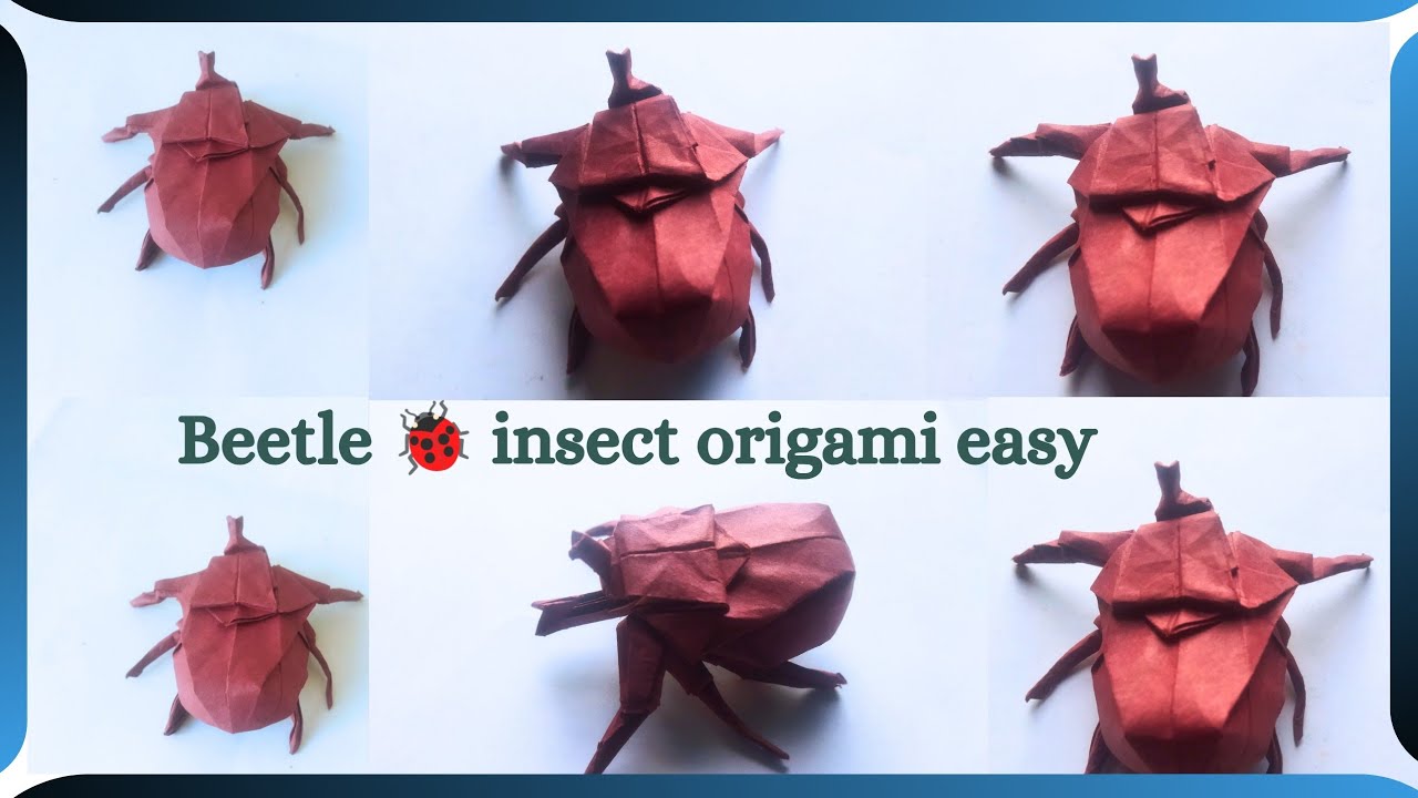 Incredible Insect origami Beetle Creations! - YouTube