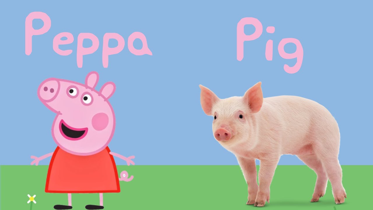 Peppa Pig Characters | Peppa Pig Characters in Real life | Learn ...