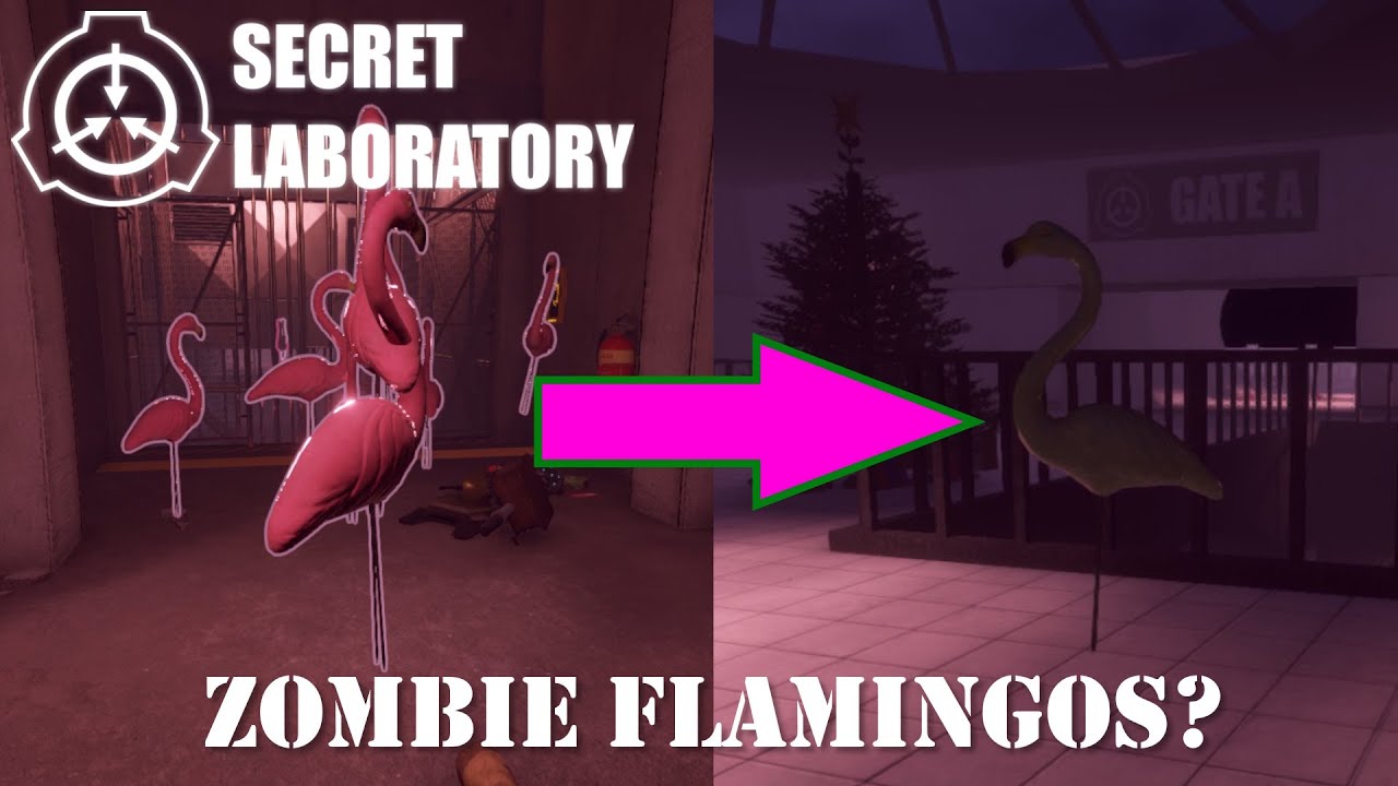 Zombie Flamingos?! - SCP: Secret Laboratory - YouTube