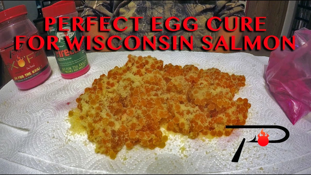 The Perfect Egg Cure For Wisconsin Salmon - YouTube
