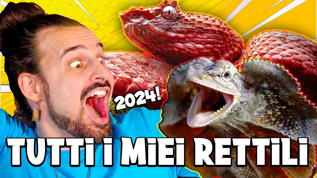 Tutti i Miei Animali - 30 Rettili in casa?! (2024) - YouTube