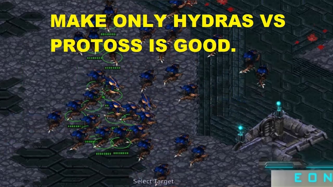MAKE ONLY HYDRAS VS PROTOSS IS GOOD - YouTube