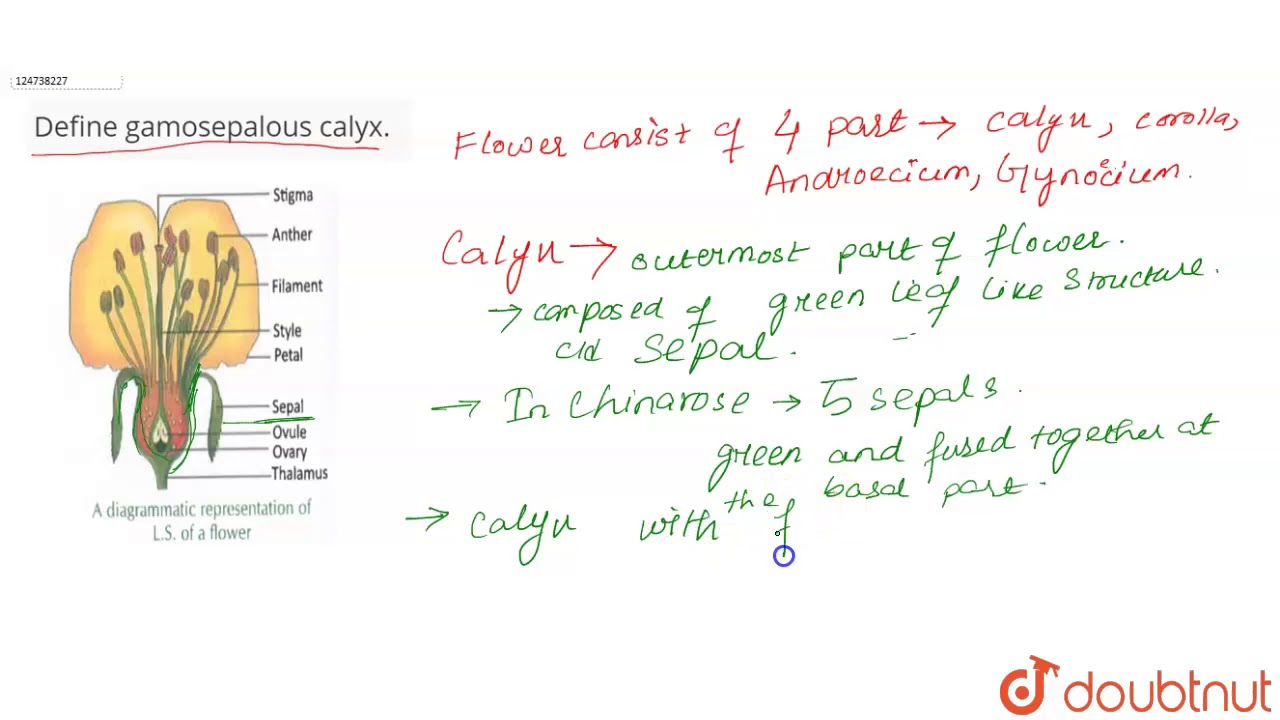 Calyces Flower Definition | Best Flower Site