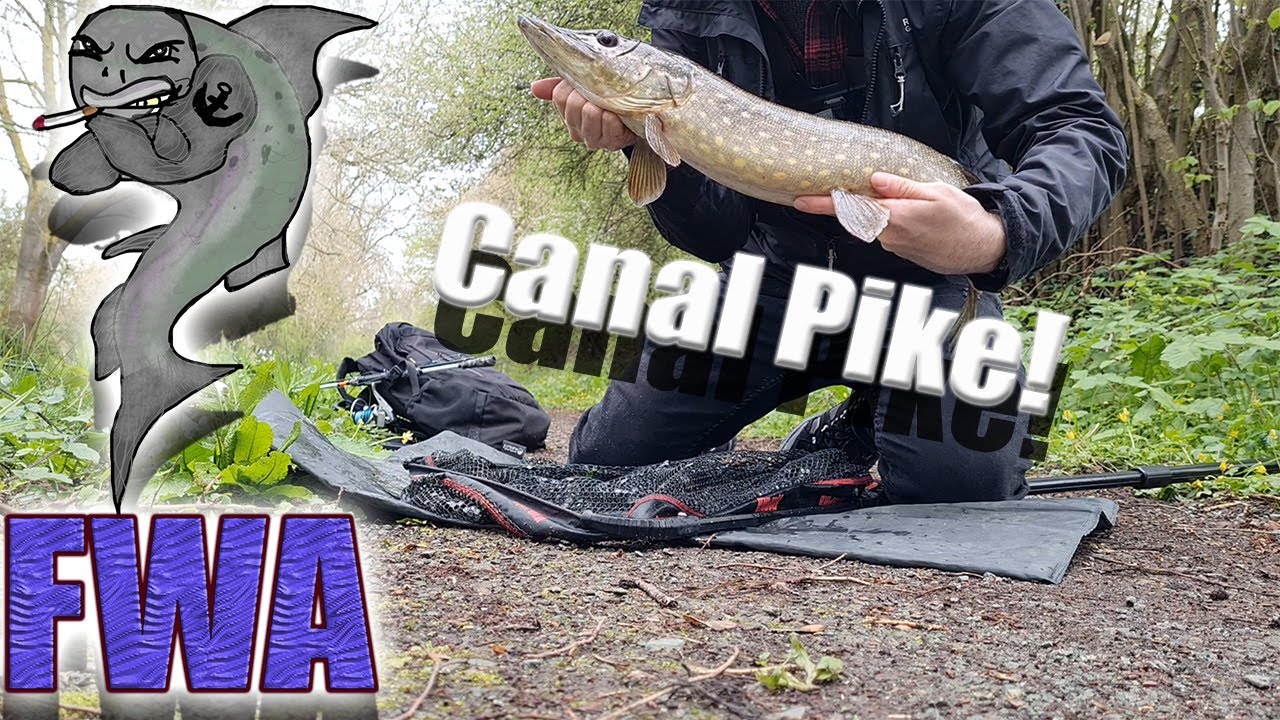 Lure fishing for Spring Canal Pike - Mid Wales UK - Abu Garcia ...