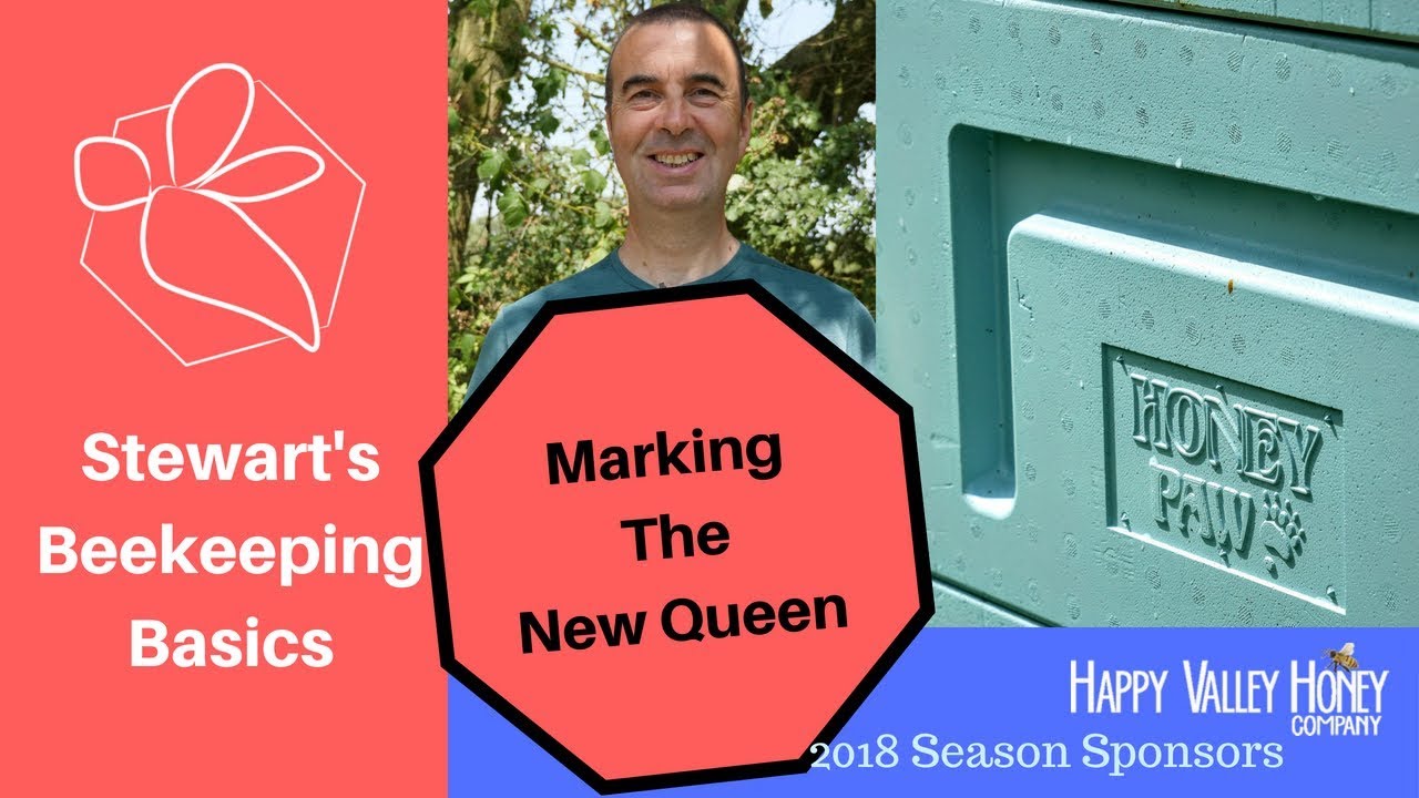 11: Marking a Honeybee Queen - Stewart Spinks at the Norfolk Honey Co ...