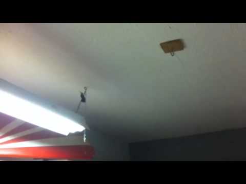 Humming bird trapped in garage - YouTube