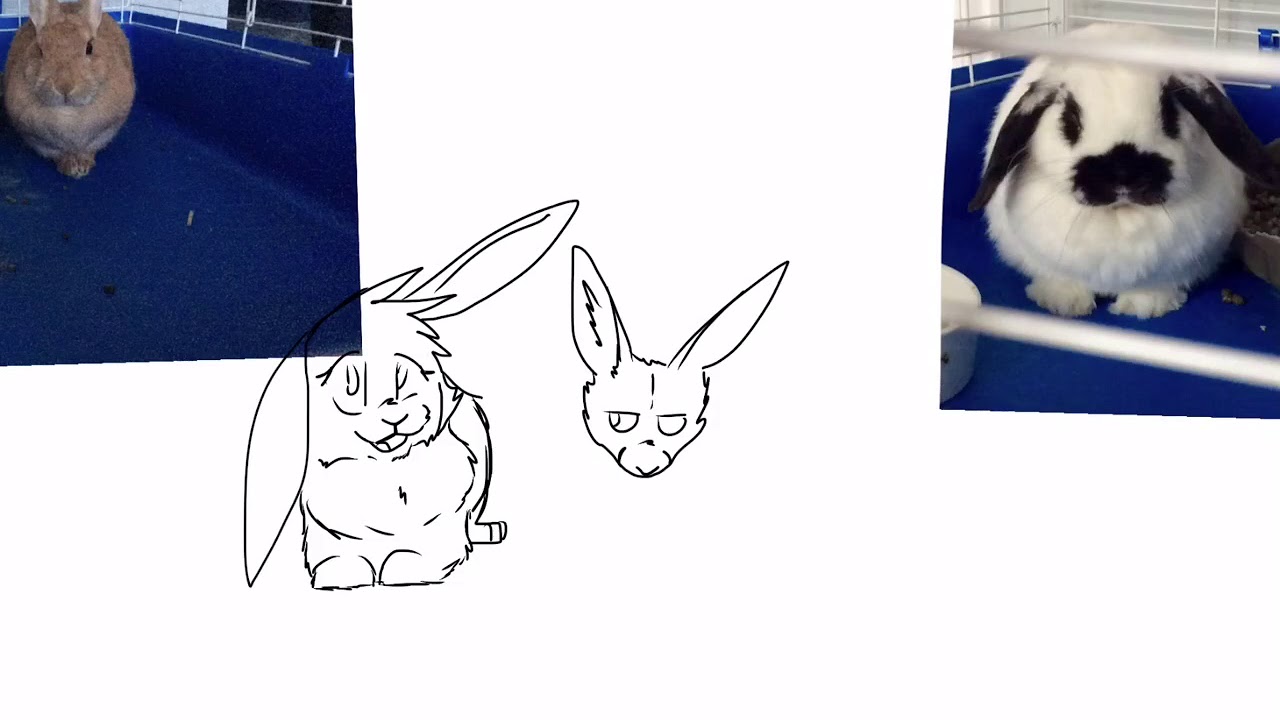 Lily and Sandy! - YouTube