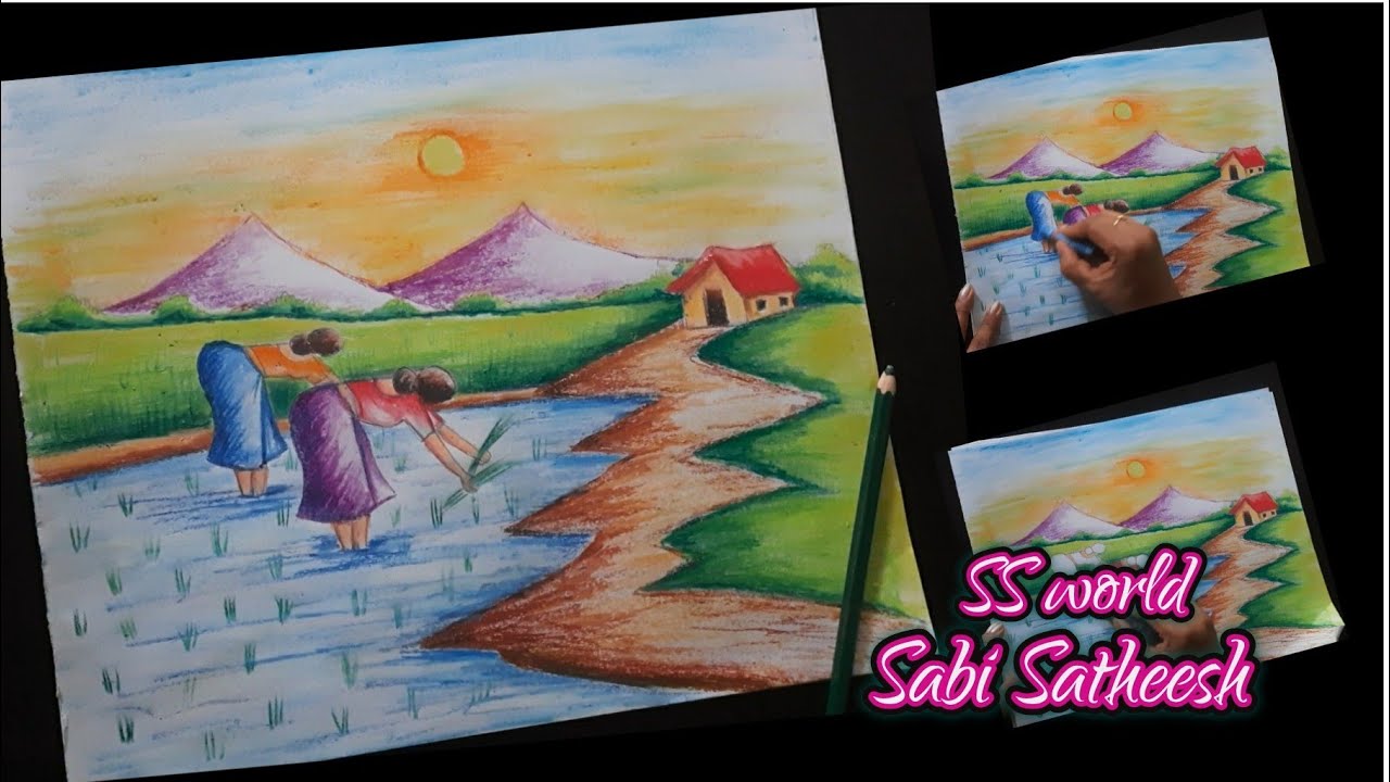 How to draw Rice Plantation Scenery. Step by Step (easy draw) - YouTube
