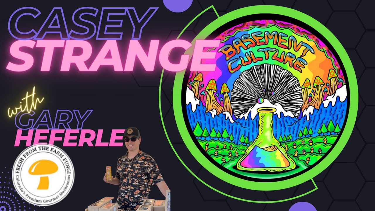 MAPS Psychedelic Science 2023 & Casey Strange of Basement Culture 🍄 The ...